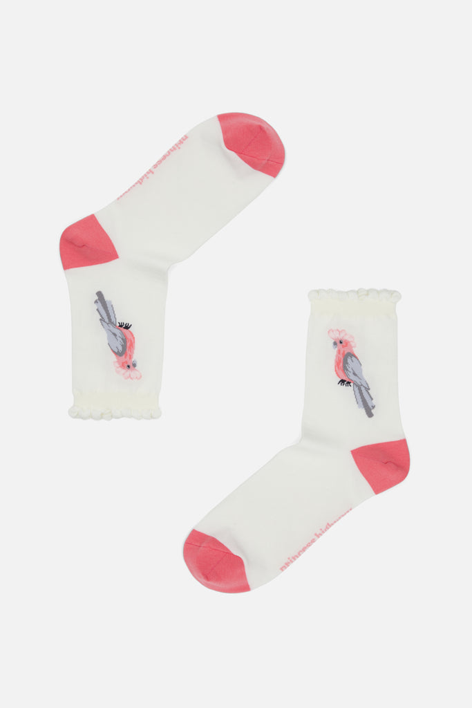 Galah Socks – Dangerfield