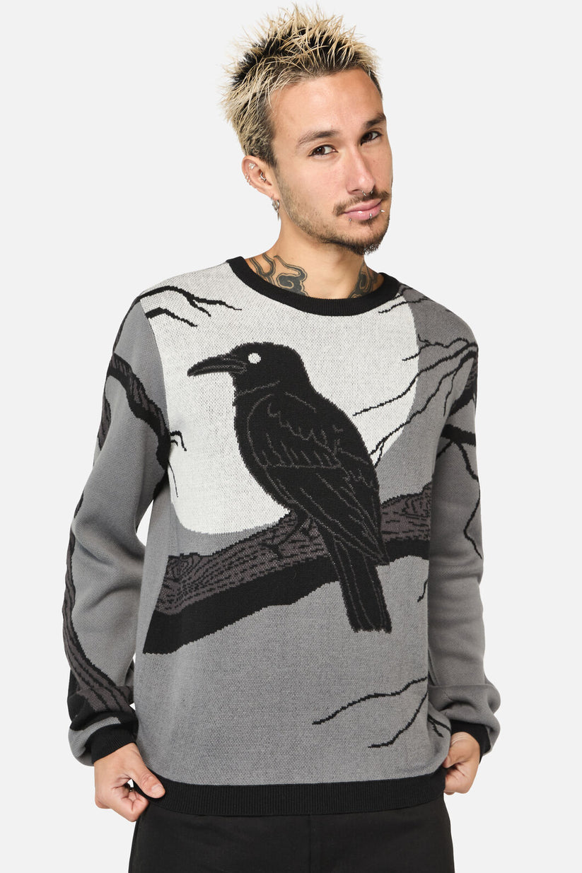 Apollo Crow Scene Knit Jumper – Dangerfield