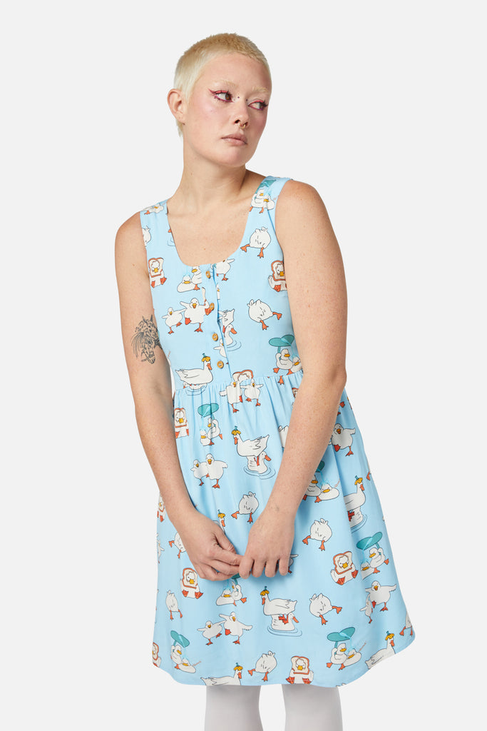 Puddle Duck Dress – Dangerfield