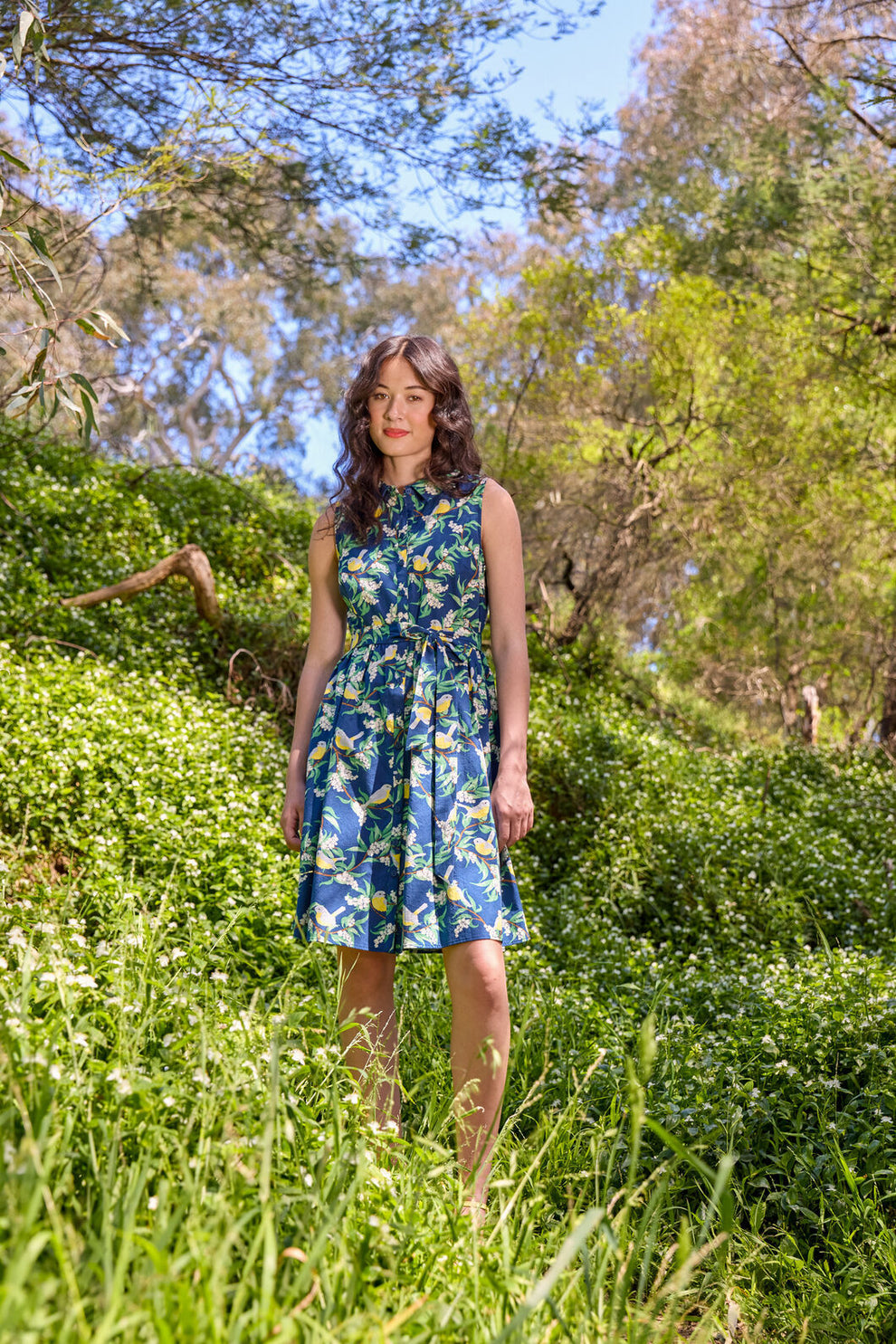 Yellow Robin Shirt Dress – Dangerfield
