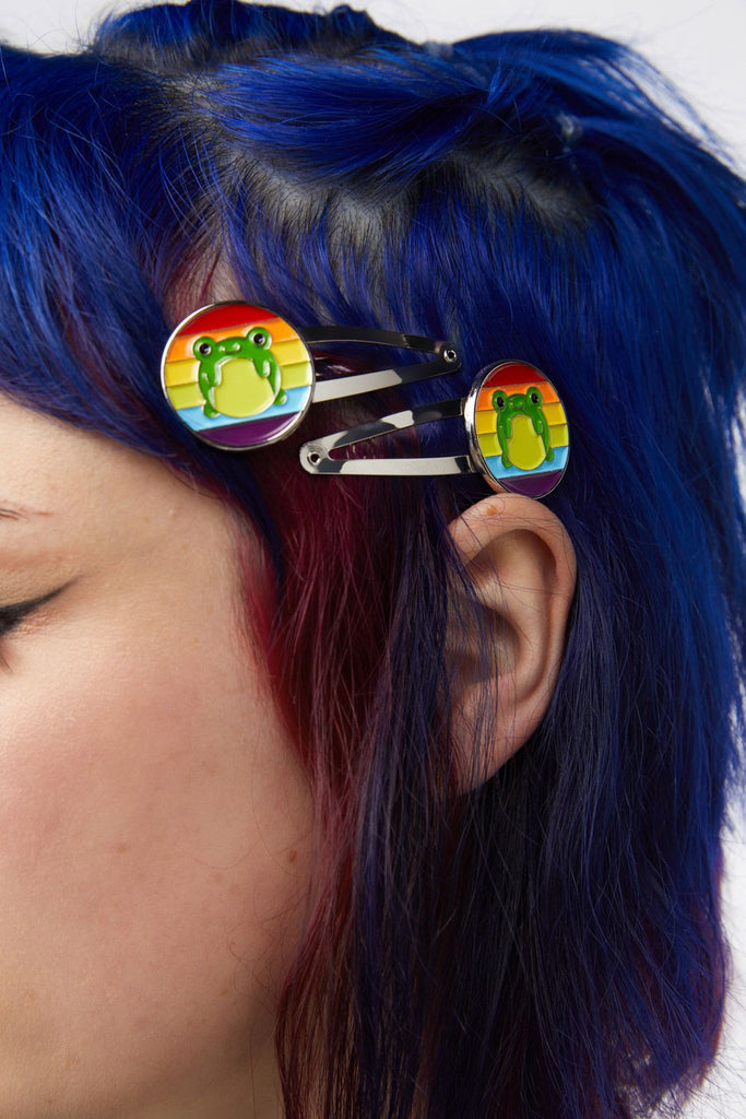 Rainbow Frog Hair Clips – Dangerfield