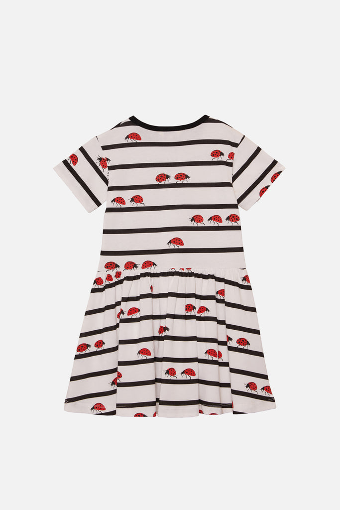 Ladybug Stripe Kids Jers Dre – Dangerfield
